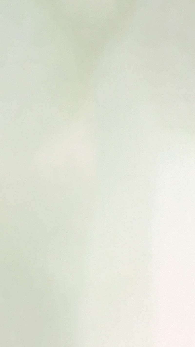 Did you know that there’s a tunnel under Ocean Blvd Exclusive White Vi ...